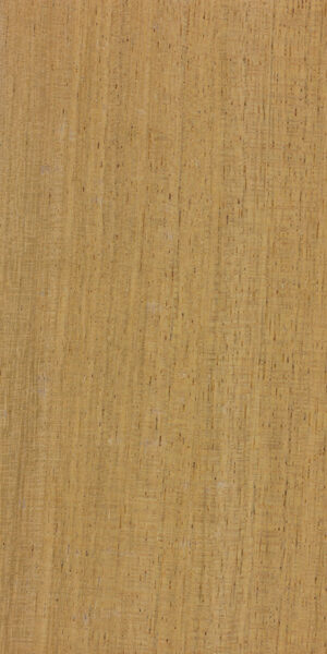 Cerejeira | The Wood Database (Hardwood)