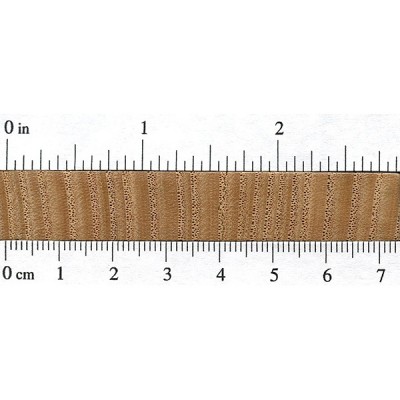 American Chestnut | The Wood Database (Hardwood)