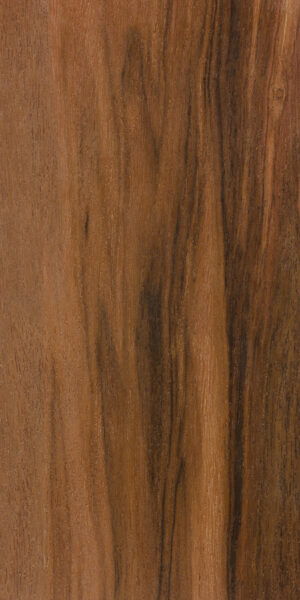 Curupay | The Wood Database (Hardwood)