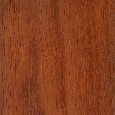 African Padauk | The Wood Database (Hardwood)