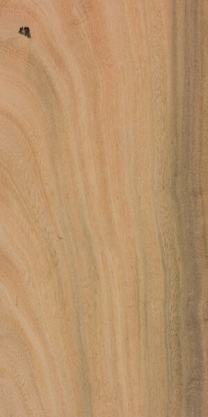 Broad-Leaved Apple | The Wood Database (Hardwood)