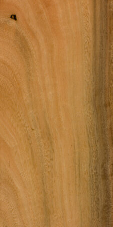 Smooth-Barked Apple | The Wood Database (Hardwood)