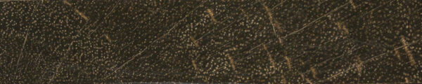 Yellow Silverballi | The Wood Database (Hardwood)