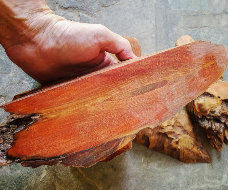 Parana Pine | The Wood Database (Softwood)