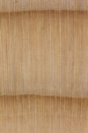 Monkey puzzle | The Wood Database (Softwood)
