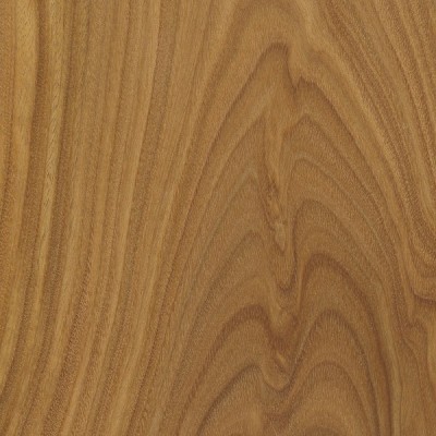 Verawood | The Wood Database (Hardwood)