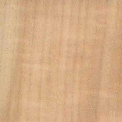 European Aspen | The Wood Database (Hardwood)