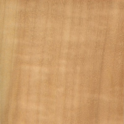 European Aspen | The Wood Database (Hardwood)