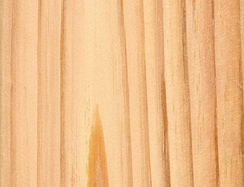Alligator Juniper | The Wood Database - Lumber Identification (Softwood)