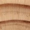 Austrian Pine | The Wood Database (Softwood)