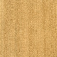 Avodire | The Wood Database - Lumber Identification (Hardwood)