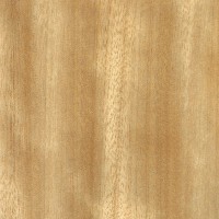 Avodire | The Wood Database - Lumber Identification (Hardwood)