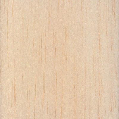 Balsa | The Wood Database (Hardwood)