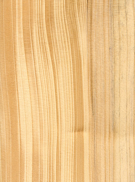 Balsam Fir | The Wood Database - Lumber Identification (Softwood)