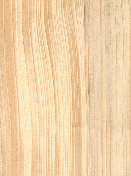 Balsam Fir | The Wood Database - Lumber Identification (Softwood)