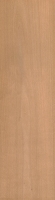 European Beech | The Wood Database - Lumber Identification (Hardwood)