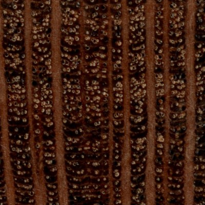 Beefwood | The Wood Database (Hardwood)