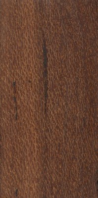 Beefwood | The Wood Database (Hardwood)