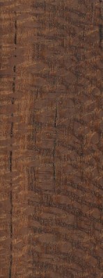 Beefwood | The Wood Database (Hardwood)