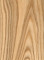 Black Ash | The Wood Database (Hardwood)