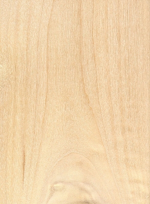 Sassafras | The Wood Database (Hardwood)