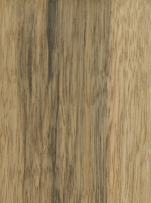 Limba | The Wood Database (Hardwood)