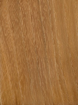 Black Locust | The Wood Database - Lumber Identification (Hardwood)