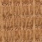 Black Oak | The Wood Database (Hardwood)