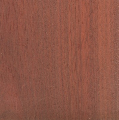 Sande | The Wood Database (Hardwood)