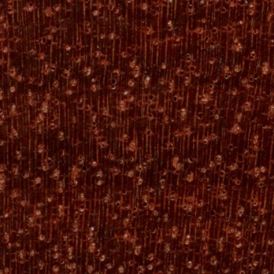 Bloodwood | The Wood Database (Hardwood)
