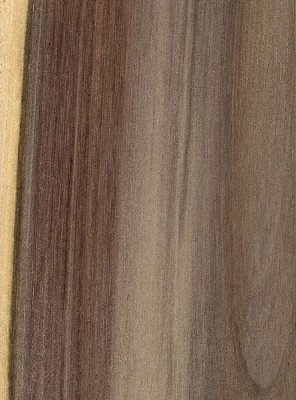 Blue Mahoe | The Wood Database (Hardwood)