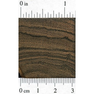 Bocote | The Wood Database (Hardwood)
