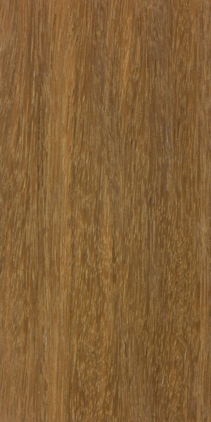 Sucupira | The Wood Database (Hardwood)