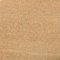 Box Elder | The Wood Database - Lumber Identification (Hardwood)