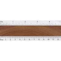 Brazilwood | The Wood Database - Lumber Identification (Hardwood)