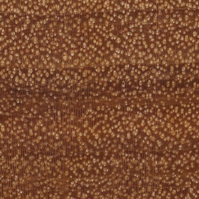 Brazilwood | The Wood Database - Lumber Identification (Hardwood)