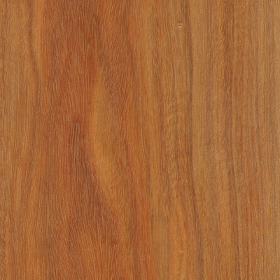 Brazilwood | The Wood Database - Lumber Identification (Hardwood)