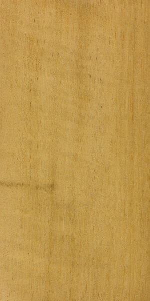 Breadnut | The Wood Database (Hardwood)