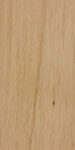 Sande | The Wood Database (Hardwood)