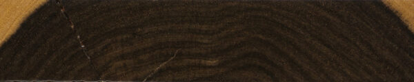 Cocuswood | The Wood Database (Hardwood)
