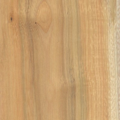Buckthorn | The Wood Database (Hardwood)