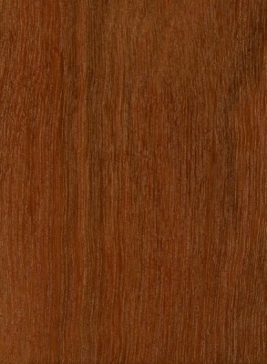 Bulletwood | The Wood Database (Hardwood)