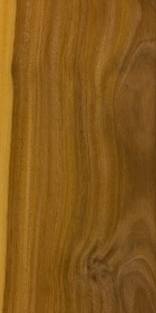 Verawood | The Wood Database (Hardwood)