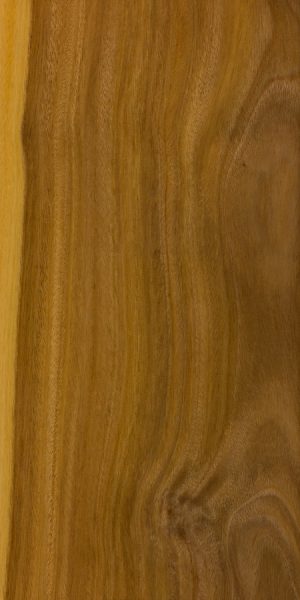 Verawood | The Wood Database (Hardwood)