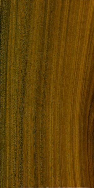 Argentine Lignum Vitae | The Wood Database (Hardwood)