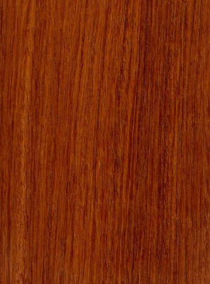 Burma Padauk | The Wood Database (Hardwood)