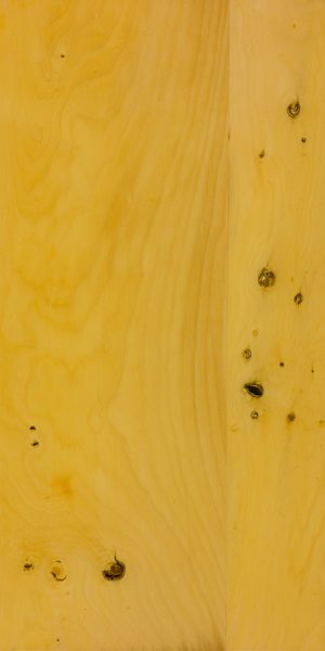 Boxwood | The Wood Database (Hardwood)