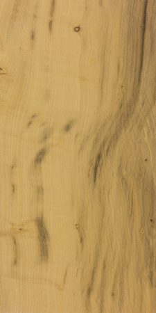 Boxwood | The Wood Database (Hardwood)