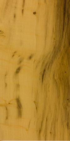 Boxwood | The Wood Database (Hardwood)