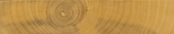 Boxwood | The Wood Database (Hardwood)